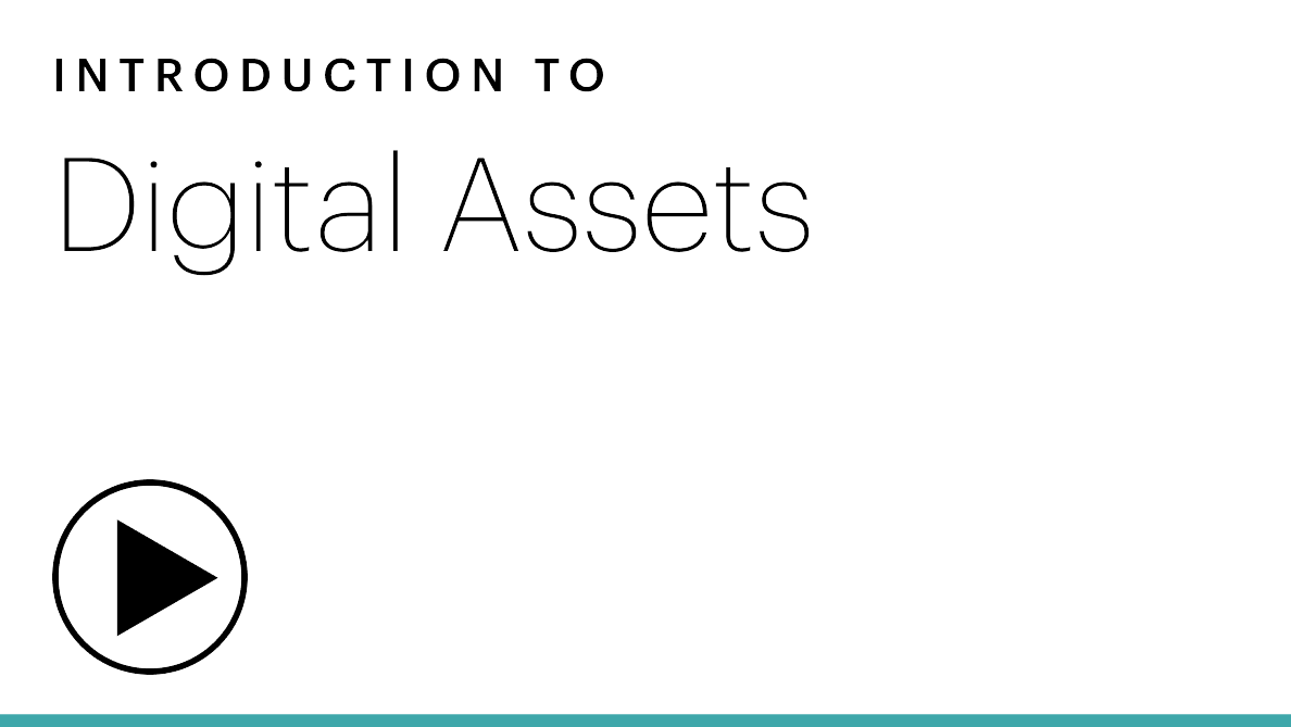 Apollo Academy - Apollo Academy