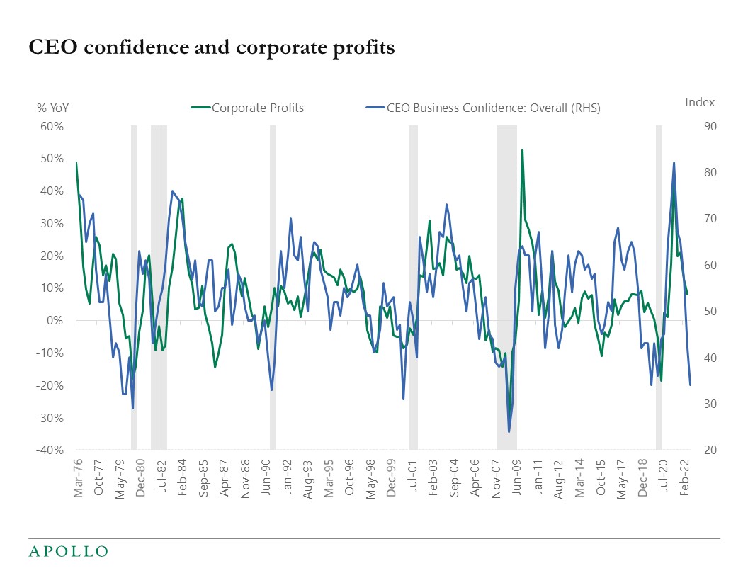 Downside Risks to Earnings - Apollo Academy
