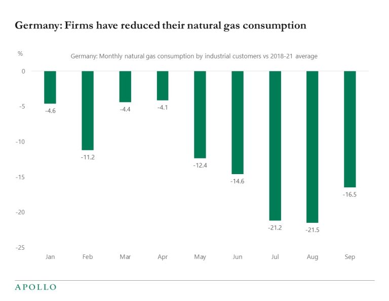 German Energy Consumption - Apollo Academy