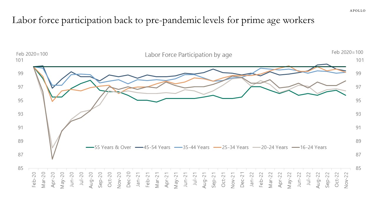 Labor Force Participation by Age - Apollo Academy
