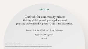 The Daily Spark - Apollo Academy