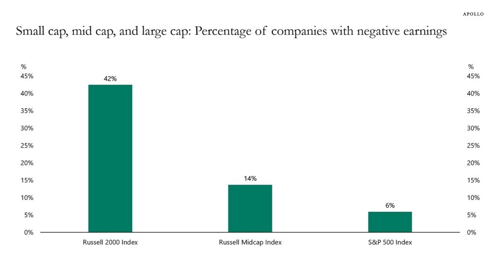 The Share of Companies with Negative Earnings - Apollo Academy